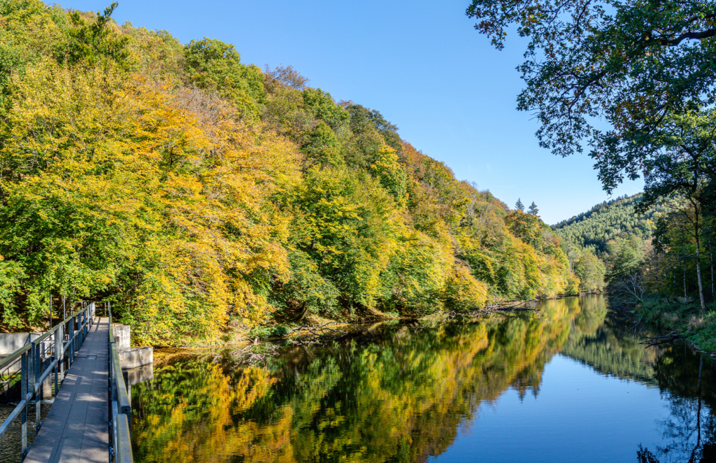 Explore the Ourthe by Foot or Bike - Discover Durbuy